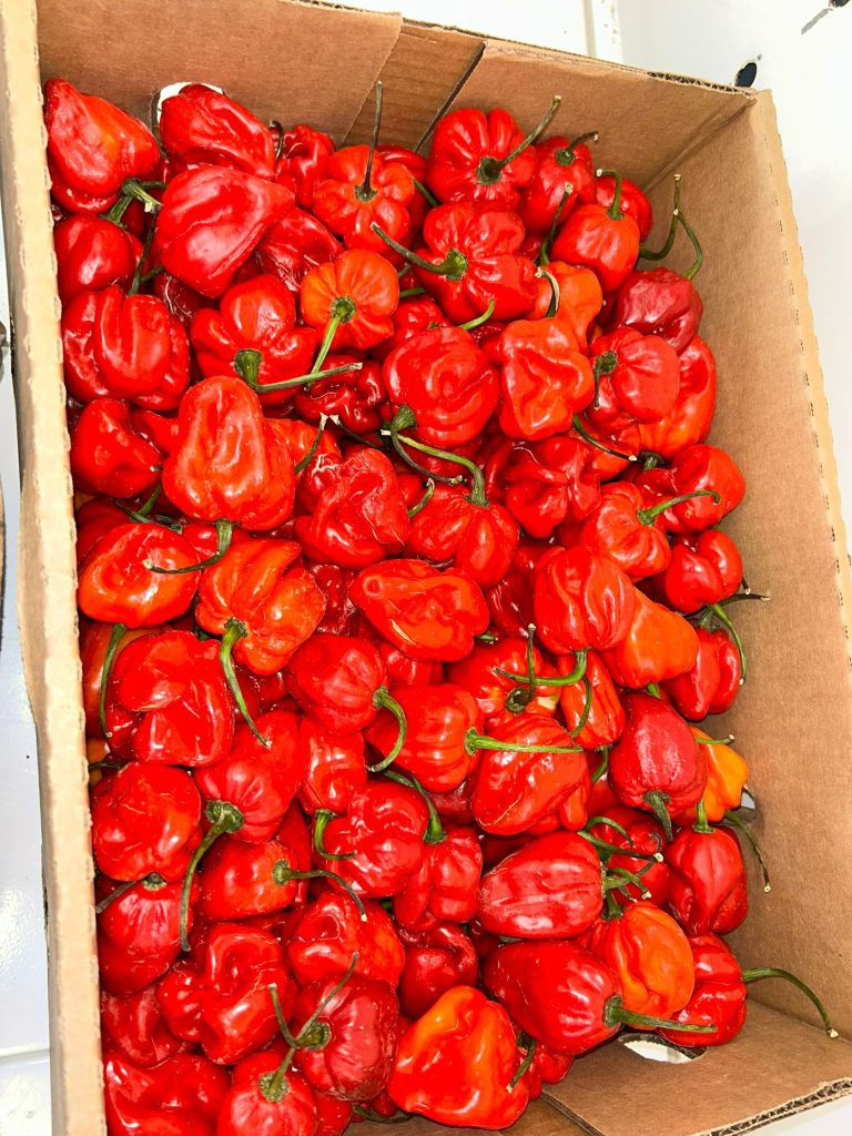 Piments 1kg - Marche Bon Pasteur